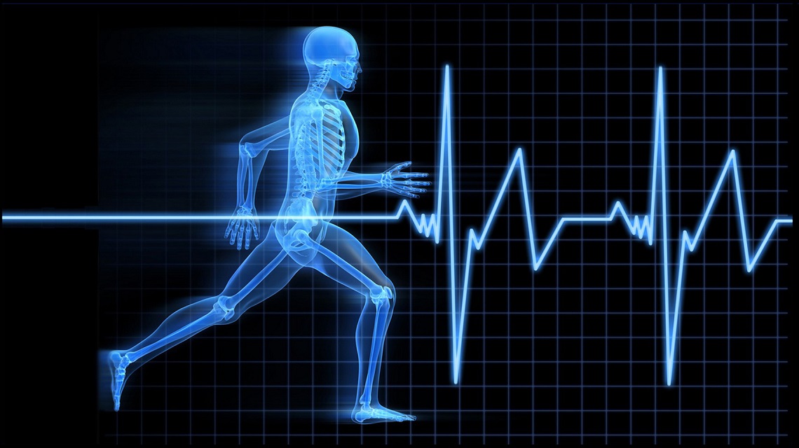 Contact Us – Rapid Ray